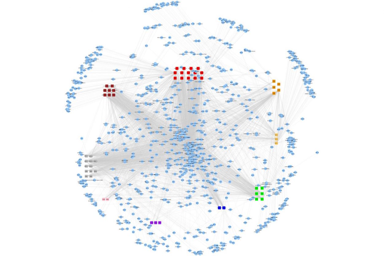 Research - Brady Lab