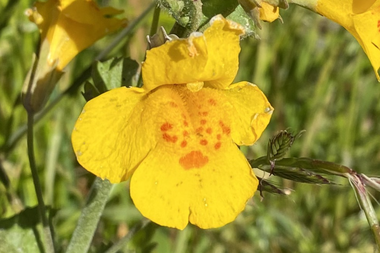 Research – Brady Lab